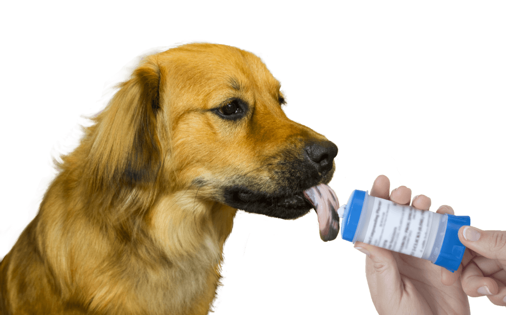 Employee Click Lick and Go Request - DoseLogix